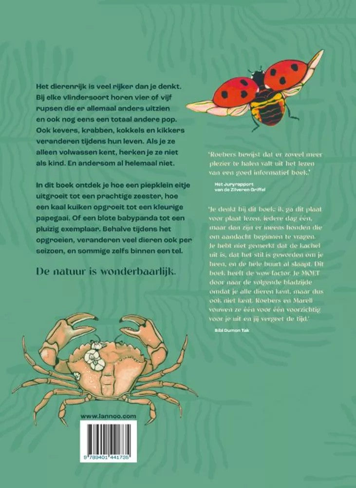 Metamorfose 8 jr+ – PSikhouvanjou